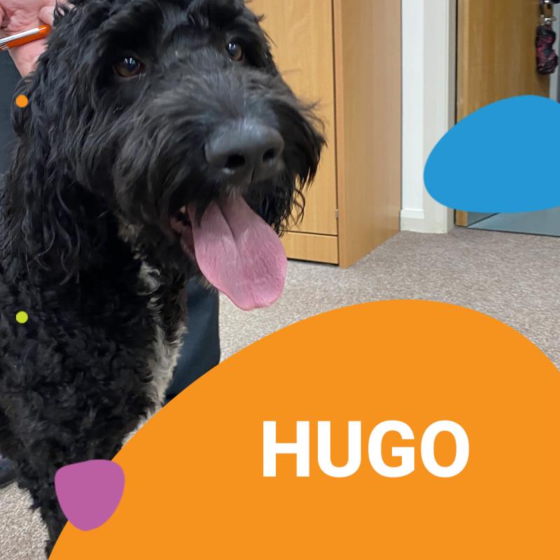 Dee Set | Careers | We have fun